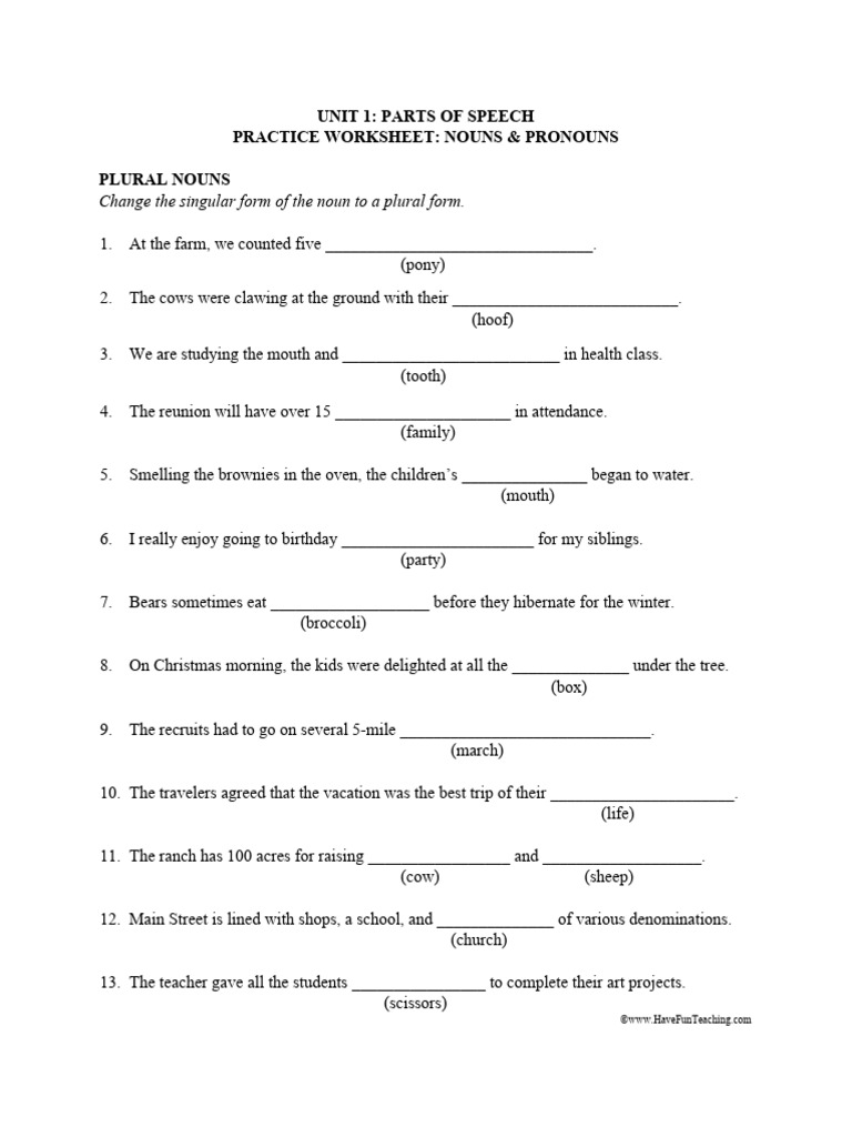 Nouns and Pronouns Practice Worksheet | PDF | Grammatical Number | Pronoun