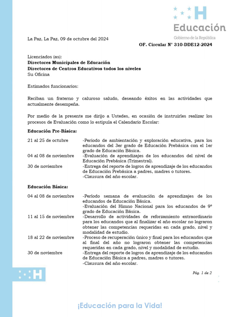 Oficio Circular 310 Dde12 2024 | PDF | Educación primaria