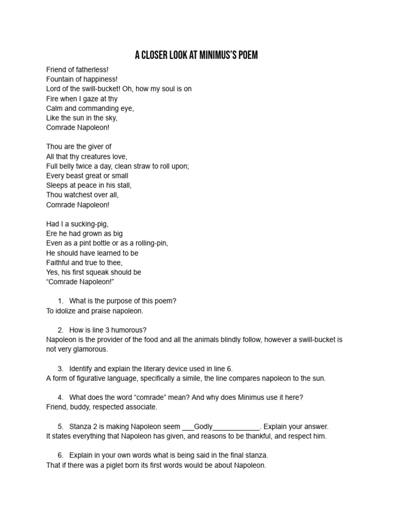 A Closer Look at Minimus's Poem | PDF | Language Arts & Discipline