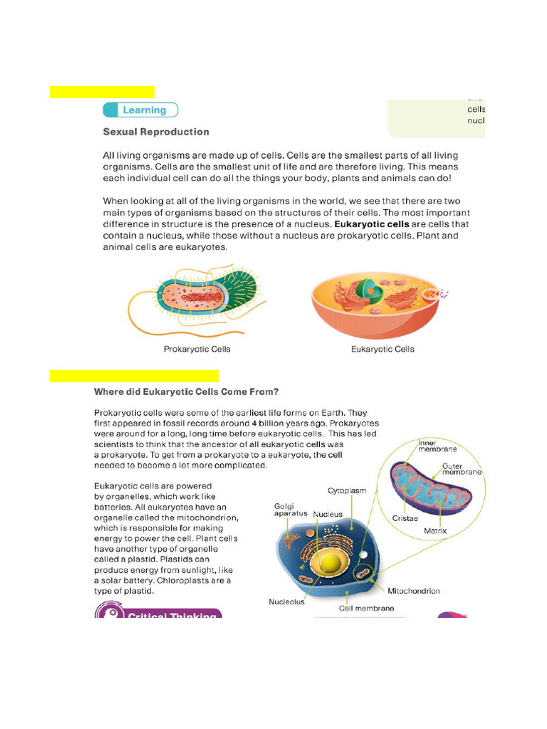 Temas Examenes Finales Science - Sociales | PDF | Ciencias sociales