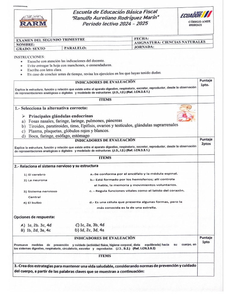 Examen CCNN 2do Q | PDF