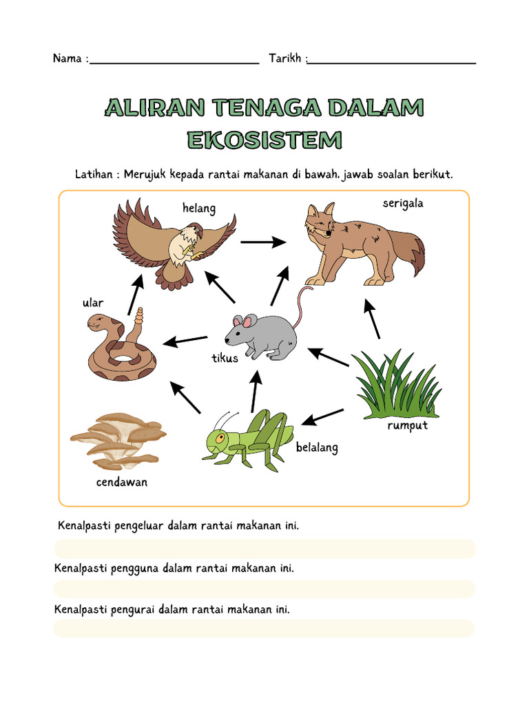 Exploring Food Webs Activity Science Worksheet in Green Brown Hand ...