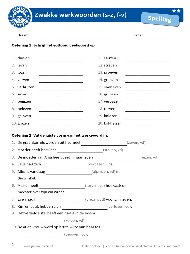 Junior Einstein S-Z F-V WB Groep 6 | PDF
