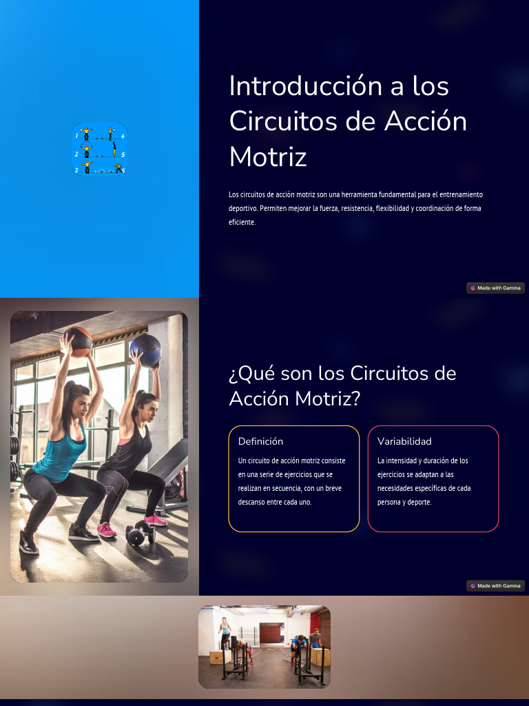 Circuitos de Accion Motris 1 | PDF | Flexibilidad (anatomía)