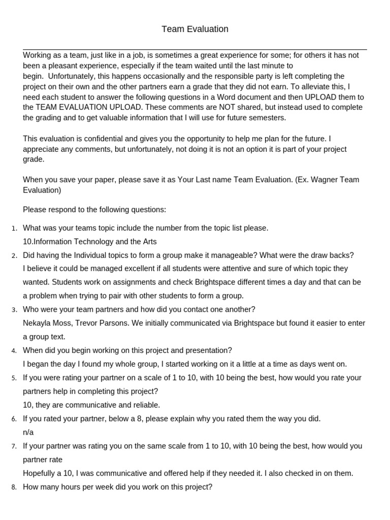 Team Evaluation | PDF