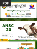 Anatomy and Physiology of Bull Reproductive System | PDF | Testicle ...