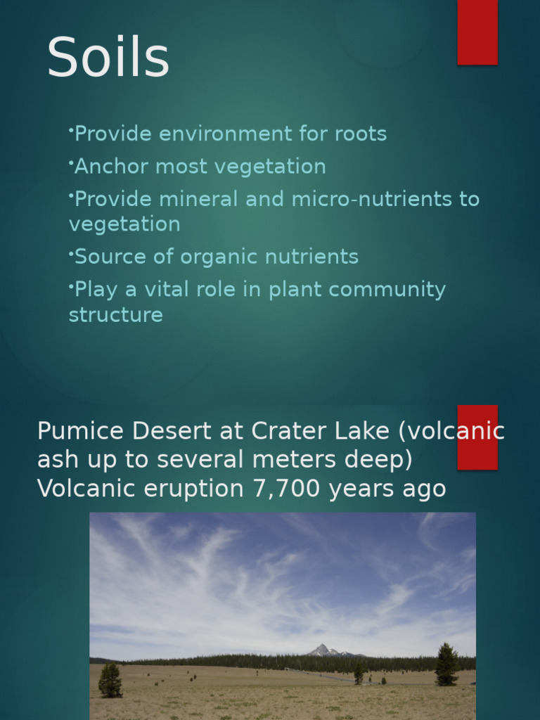 Physical Factors Soil | PDF | Soil | Earth Sciences