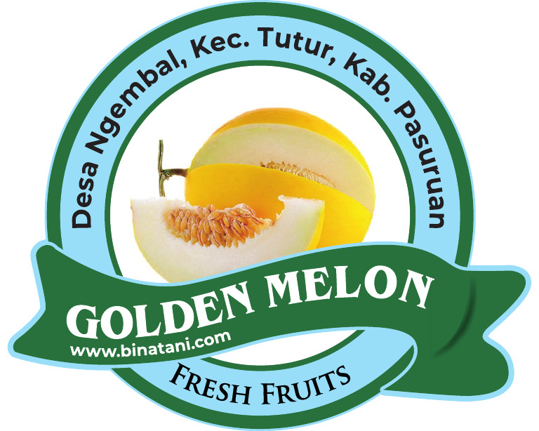 Golden Meloon | PDF