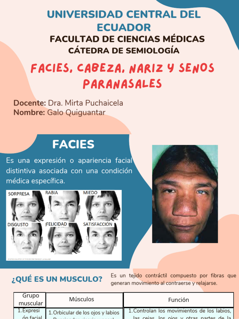 Facies y Anatomía de la Cabeza en Semiología | PDF | Dolor de cabeza ...
