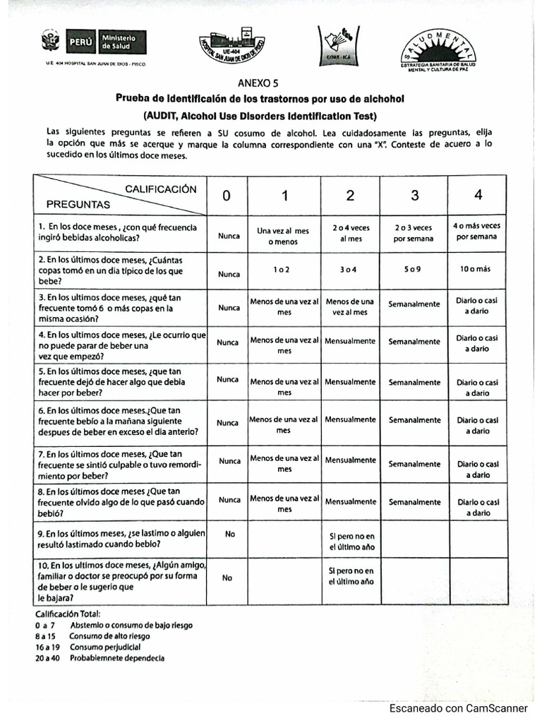 Test de Audit (Alcoholismo) | PDF