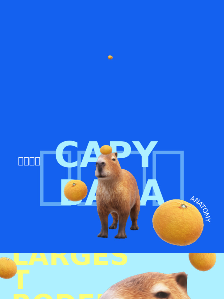 Capybara Presentation Template by @dstoryco | PDF