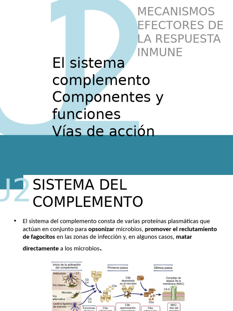 U2_3_SISTEMA DEL COMPLEMENTO | PDF | Sistema complementario | Inmunología