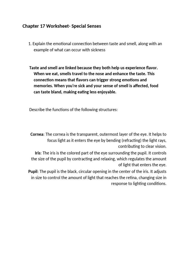 Chapter 17 Worksheet (1) - 1 | PDF | Eye | Senses