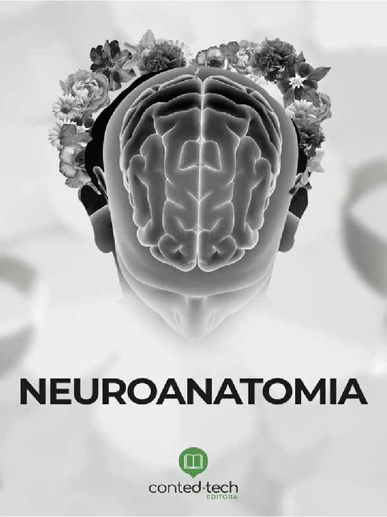 Neuro Anatomia | PDF | Neurônio | Neurotransmissor