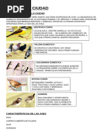 CUENTO TRADICIONALES 2 | PDF