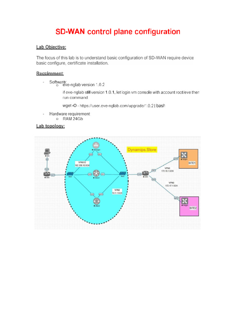 SD-Wan Control Plane Configuration Sample Workbook | PDF