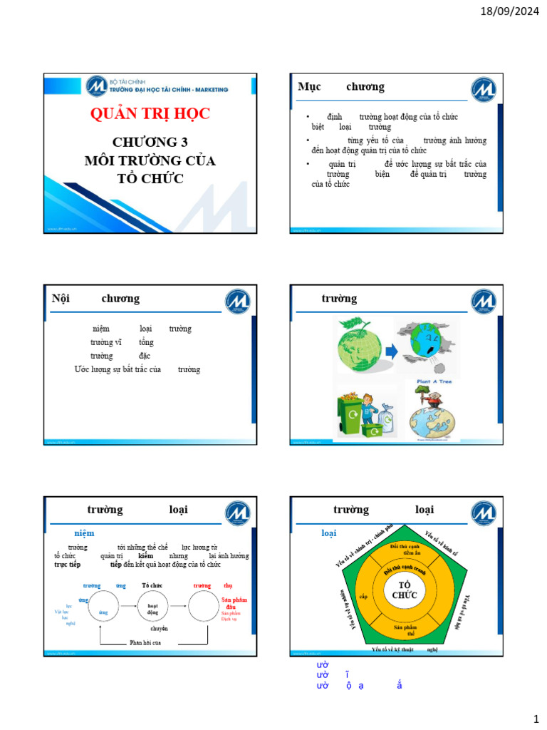 QTH 2024 - Chương 3 - Môi Trư NG C A T CH C | PDF