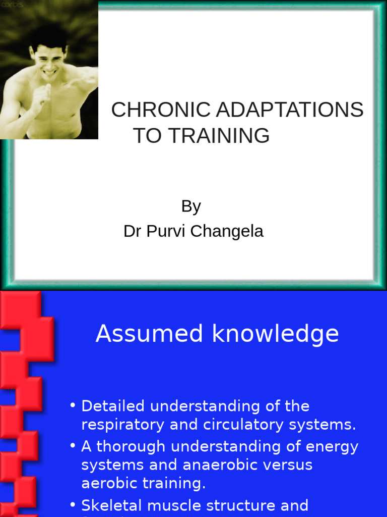 Chronic Cardiovascular Adaptations to Aerobic Training | PDF | Aerobic ...