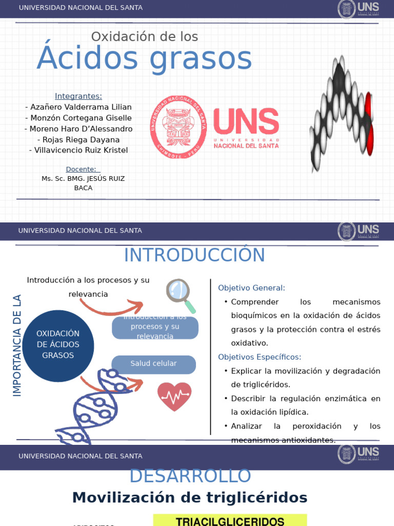 Seminario Ii - Oxidación de Ácidos Grasos | PDF | Lípido | Peroxidación lipídica