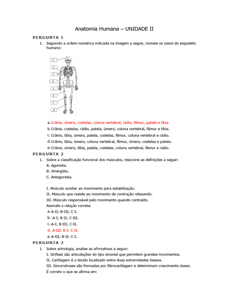 Anatomia Humana - UNIDADE II | PDF | Bem-estar | Ciências e Matemática