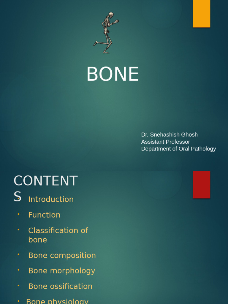 BONE | PDF | Bone | Osteoblast