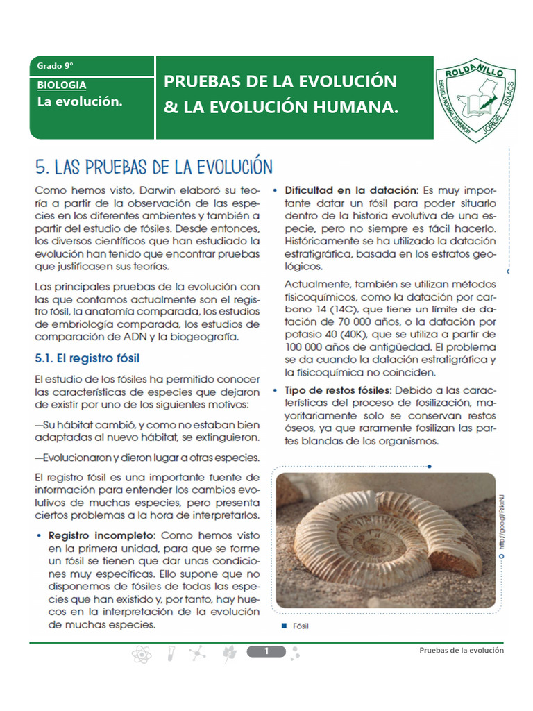 Biologia 9° Pruebas de La Evolución & Evolución Humana | PDF