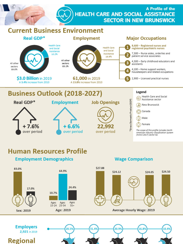 New Brunswick Health Care Sector Overview | PDF | Health Care | Nursing