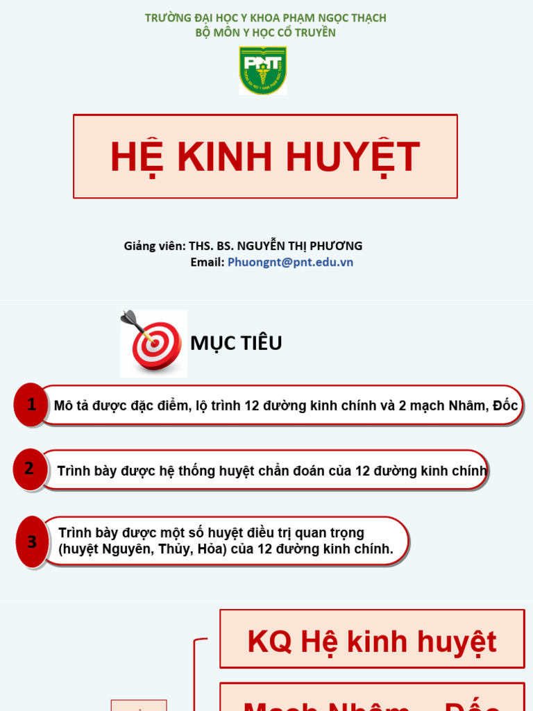 YHCT-HỆ KINH HUYỆT | PDF