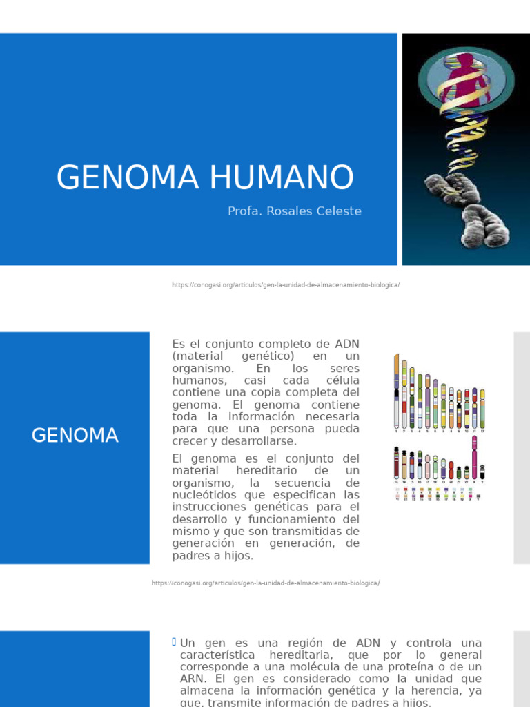 Genoma Humano: Estructura y Función | PDF | Rna | Gene