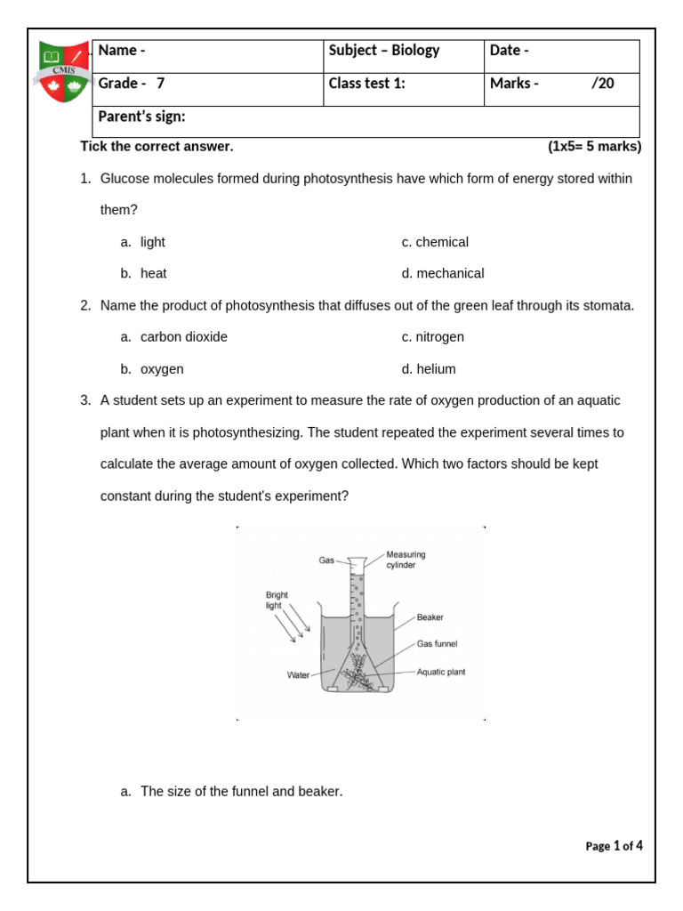 G7 Biology Photosynthesis CT1 T1 2024-25 | PDF | Photosynthesis | Leaf