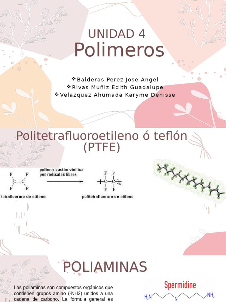 Poli Meros | PDF | Polímeros | Poliamina