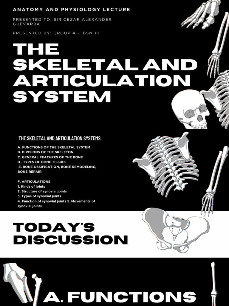THE Skeletal and Articulation System: Anatomy and Physiology Lecture ...