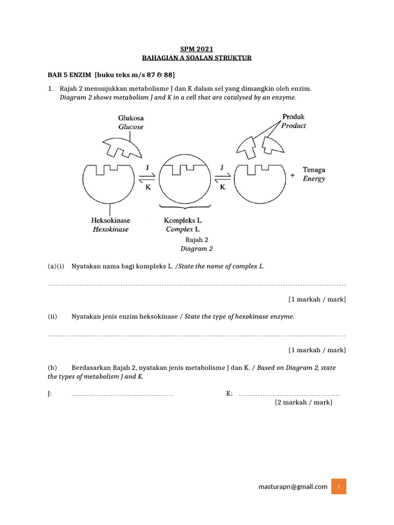 Latihan Contoh Soalan Sebenar SPM T4 | PDF | Cell Membrane | Placenta