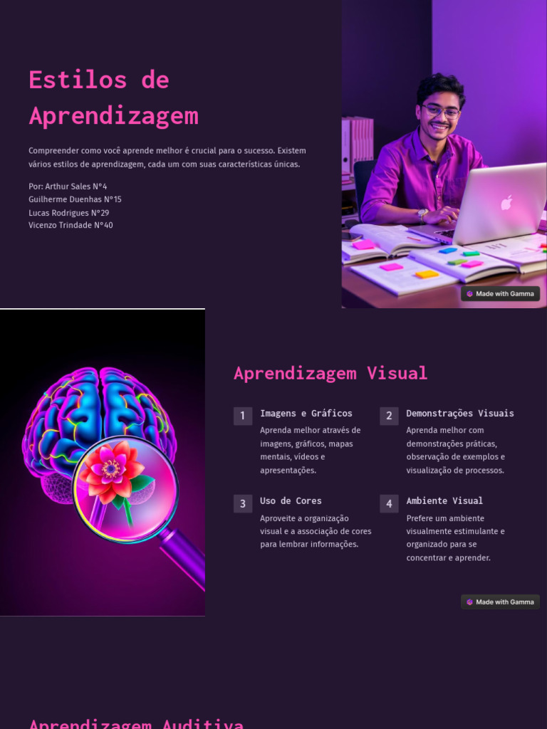 Estilos De Aprendizagem Pdf Aprendizado Estilos De Aprendizagem