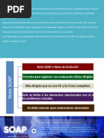 Nota Terapéutica (SOAP) | PDF