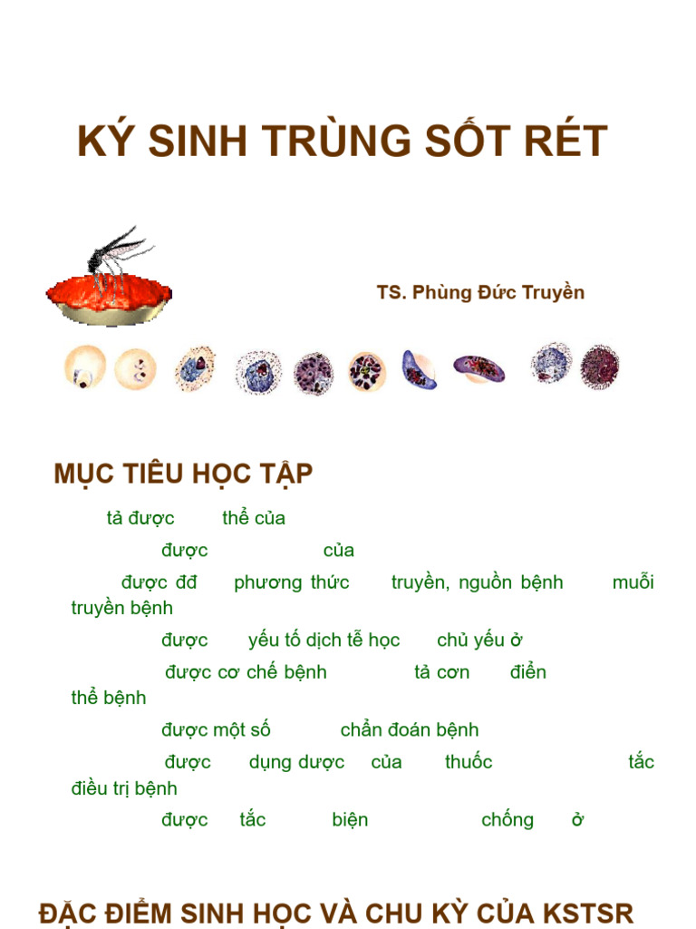 KST Sot Ret | PDF