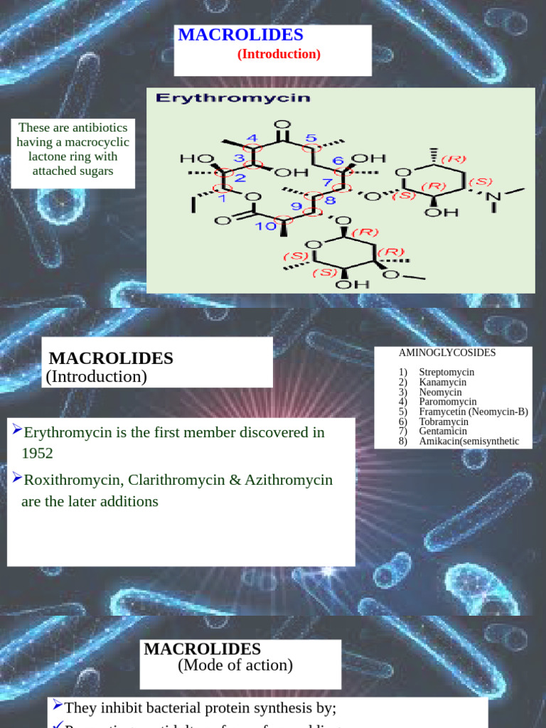 Macrolides | PDF | Medical Specialties | Clinical Medicine