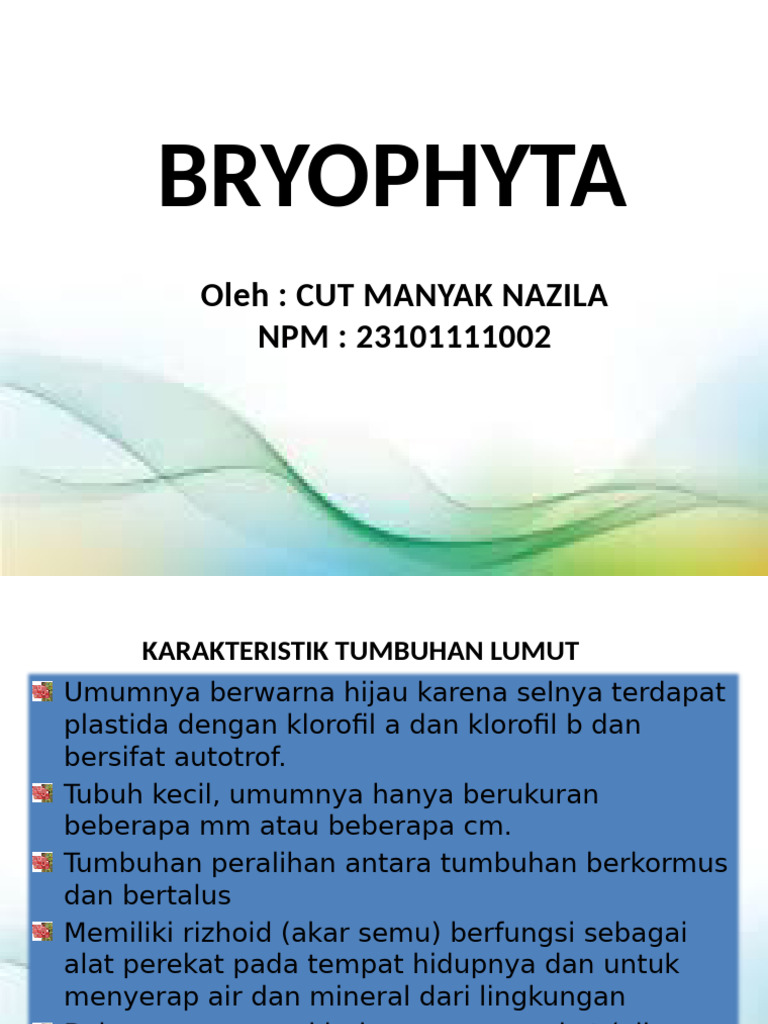 Cut Manyak Nazila (23101111002) Bryophyta | PDF | Sains & Matematika