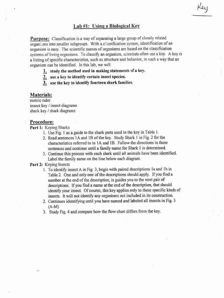 Activity - Using A Biological Key - Answers | PDF