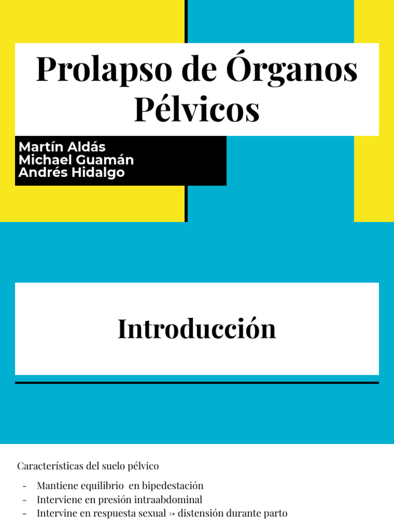 Prolapso de Órganos Pélvicos | PDF | Pelvis | Especialidades Medicas