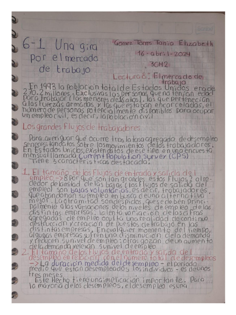 Lec. 8. El Mercado de Trabajo | PDF