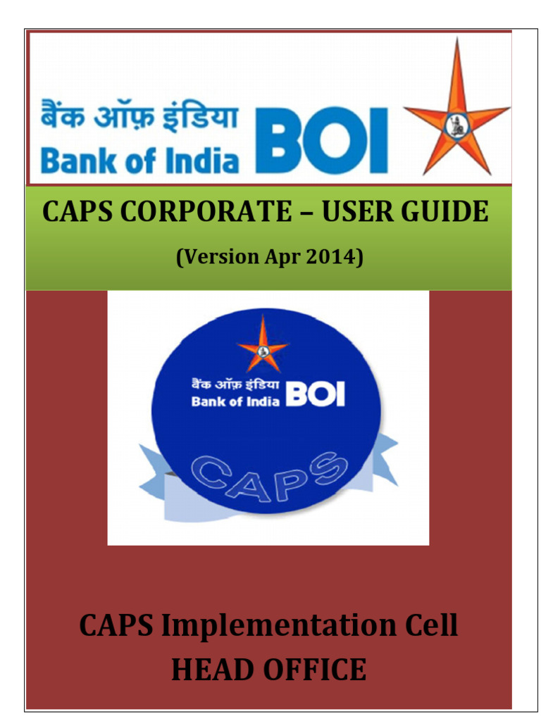 CAPS Corporate User Guide Overview | PDF | Microsoft Excel | Net Worth
