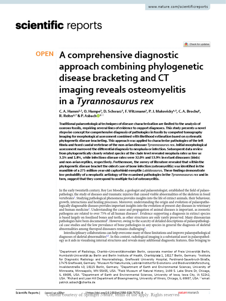 A Comprehensive Diagnostic Approach Combining Phyl | PDF | Bone | Vertebra