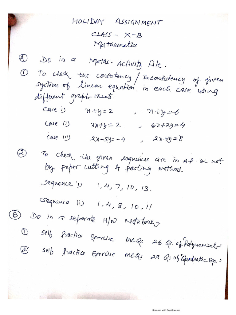 Maths Holiday Homework Class 10 | PDF