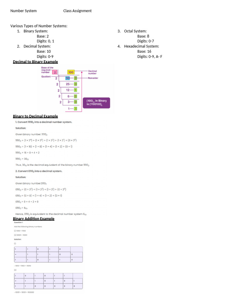 Overview of Number Systems Assignment | PDF
