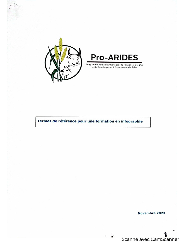 TDR Formation Infographie | PDF