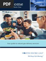 Application For Domestic Gas Connection | PDF