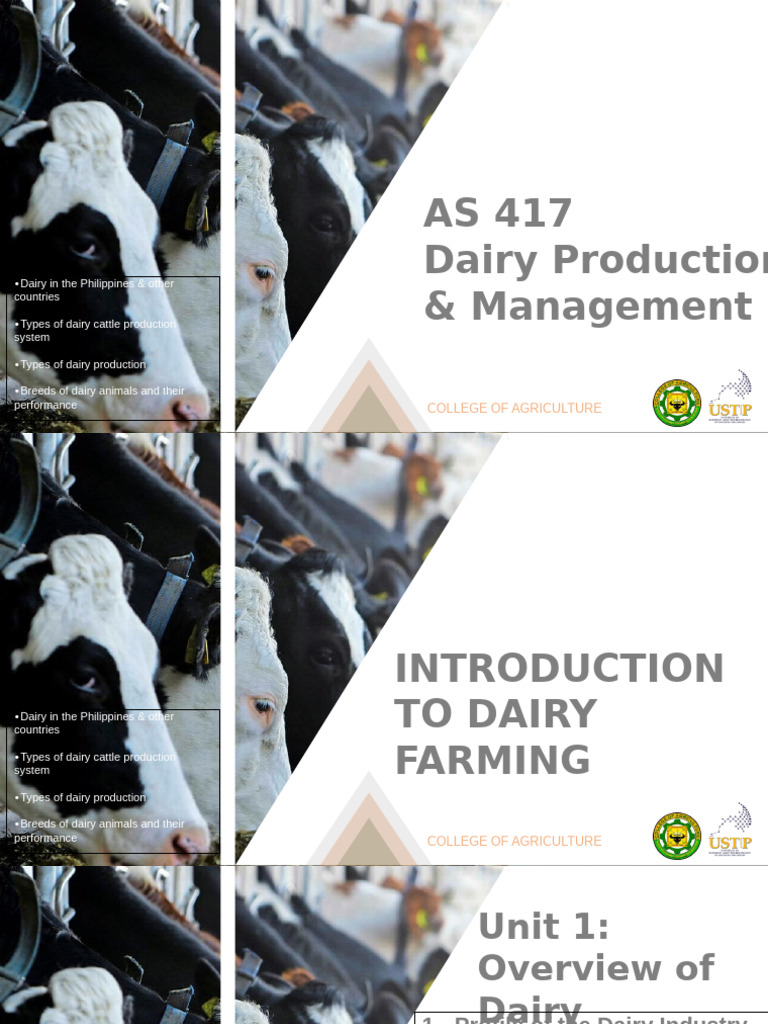 Dairy Production Systems in the Philippines | PDF | Dairy | Dairy Farming
