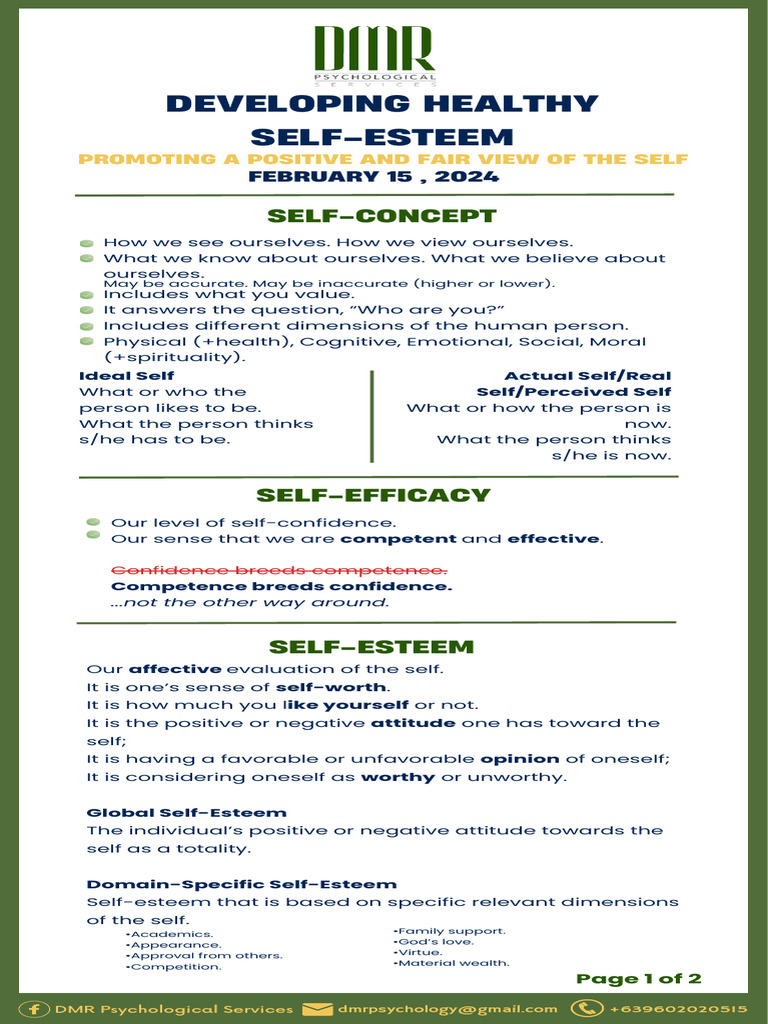 Developing Healthy Self-Esteem Guide | PDF | Self Esteem | Self Concept