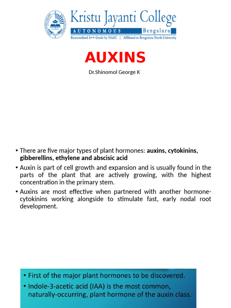Plant Hormone Auxins | PDF